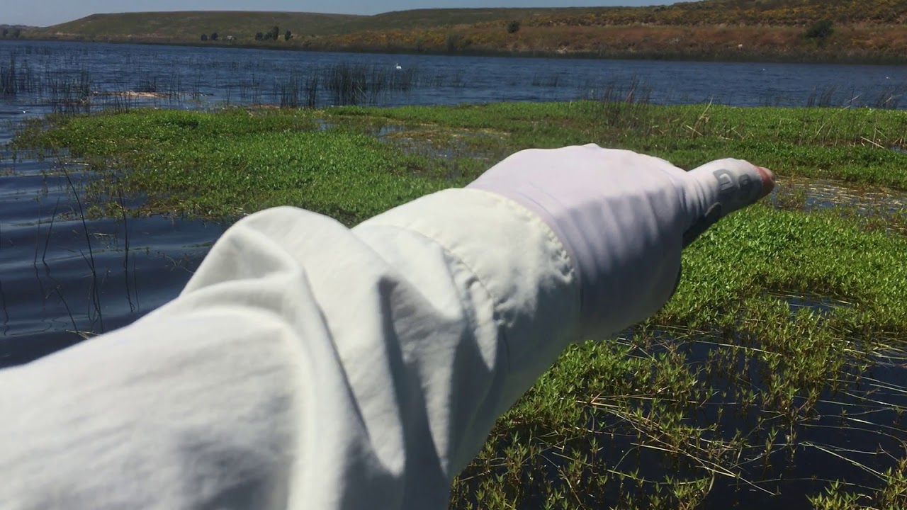 Harvey's arm, Otay Lake, Kermit fishing - YouTube
