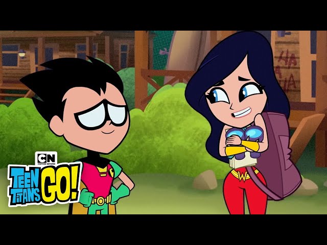 Teen Titans Go Super Robin