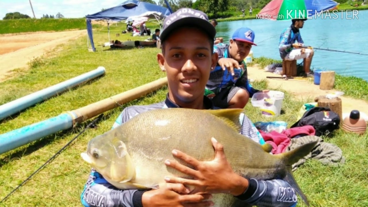 PESQUEIRO DO ITALIANO - Muito vento e muito peixe - YouTube