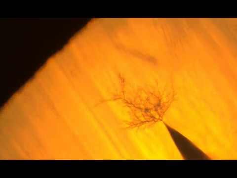 Real time video - Electrical Treeing 50 Hz 12 kV - YouTube