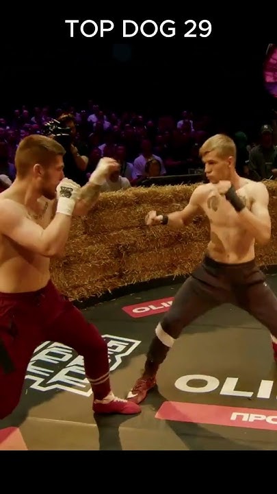 Жёсткий vs Джамбо TOP DOG 29 Нокаут! #нокаут #бой #topdog #бои - YouTube