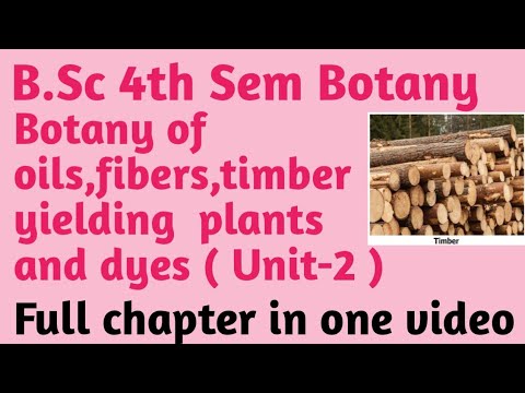 B.Sc 4th Sem Botany Unit-2|| Botany of oils, fibers, timber yielding ...