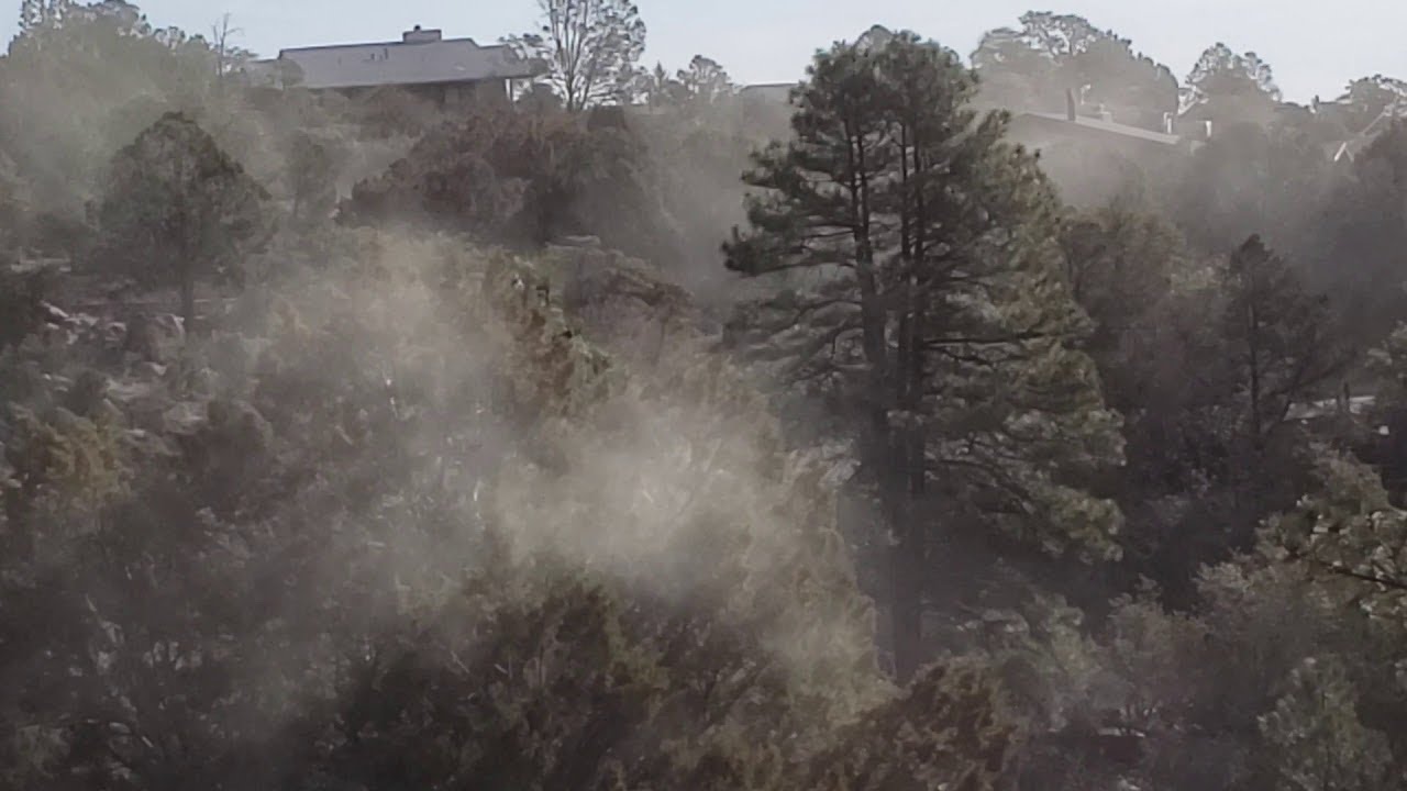 Pollen Explosion in Prescott || ViralHog - YouTube