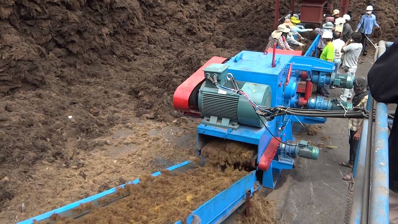 Palm EFB Chopping Machine Installed in Malaysia - YouTube