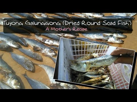 Marasa | How To Make Tuyo - Dried Fish (Round Scad Fish) A Mother's ...