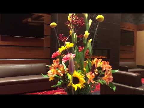 A peek into Soaring Eagle's VIP Room