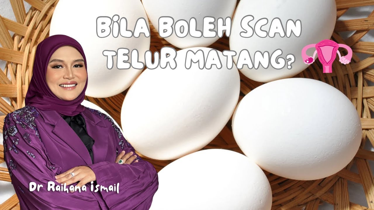Bila boleh scan telur matang - YouTube