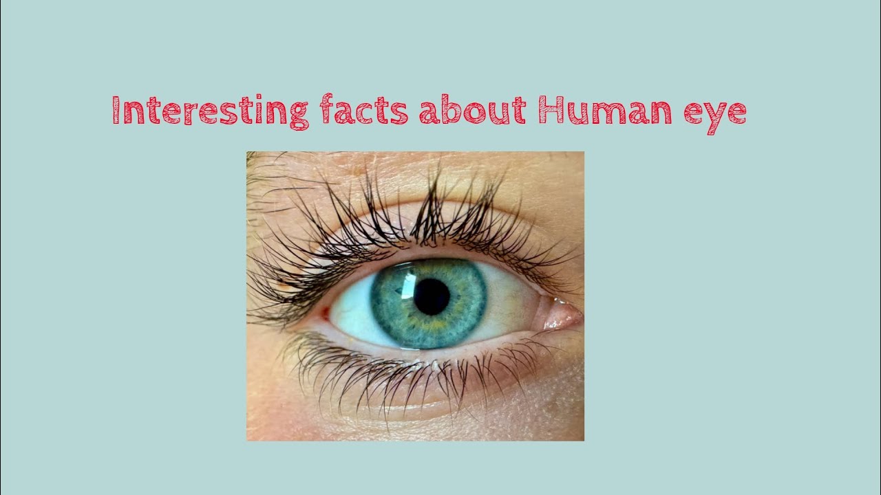 Interesting facts about Human eye - YouTube