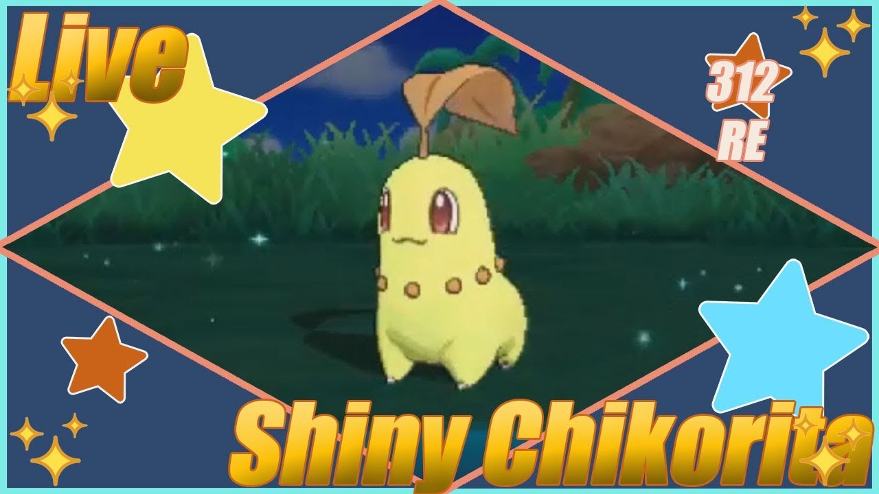 Live Shiny Chikorita Youtube