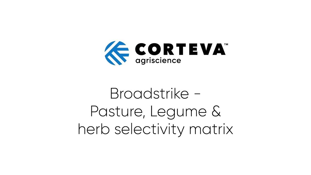 Broadstrike herbicide Pasture & legume selectivity matrix - YouTube
