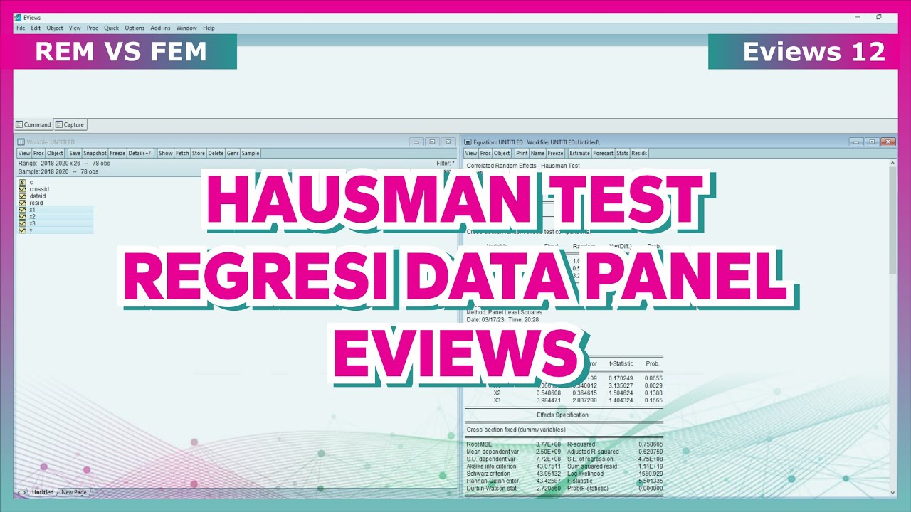 CARA UJI HAUSMAN EVIEWS ️ REGRESI DATA PANEL EVIEWS ‼️ - YouTube