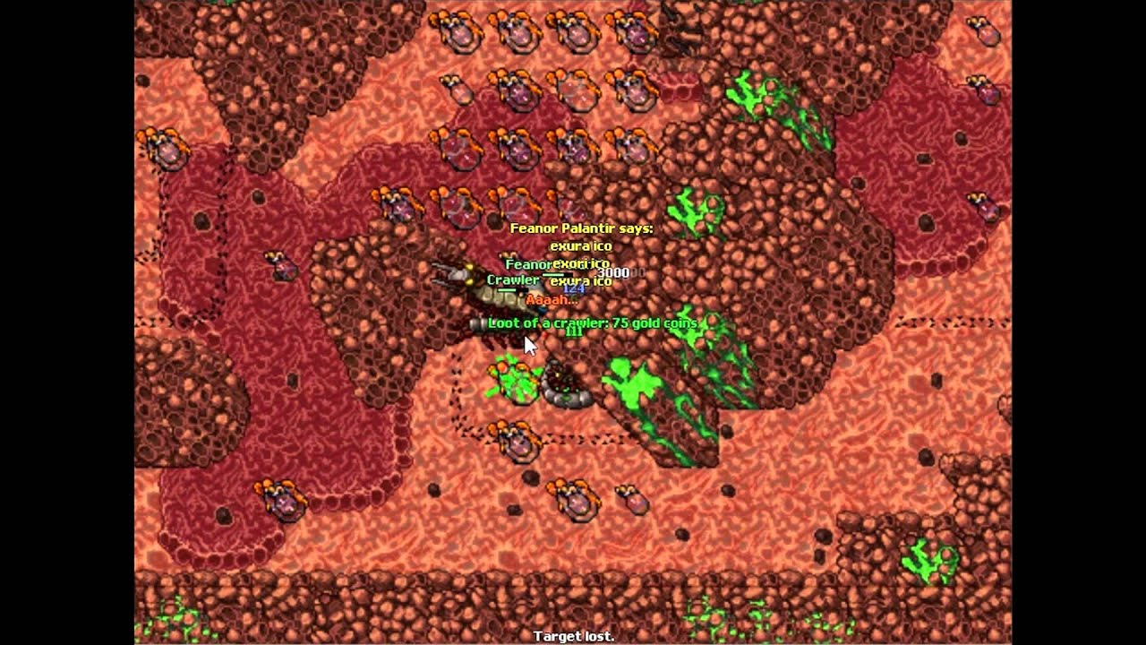 Tibia Where to hunt? Gray Island - Hive - YouTube