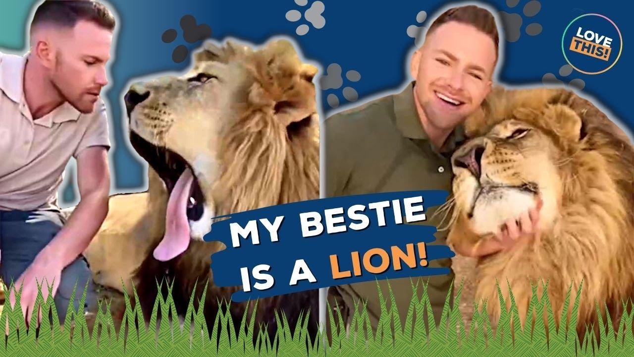 My best friend is a lion! 🦁 | LOVE THIS! - YouTube