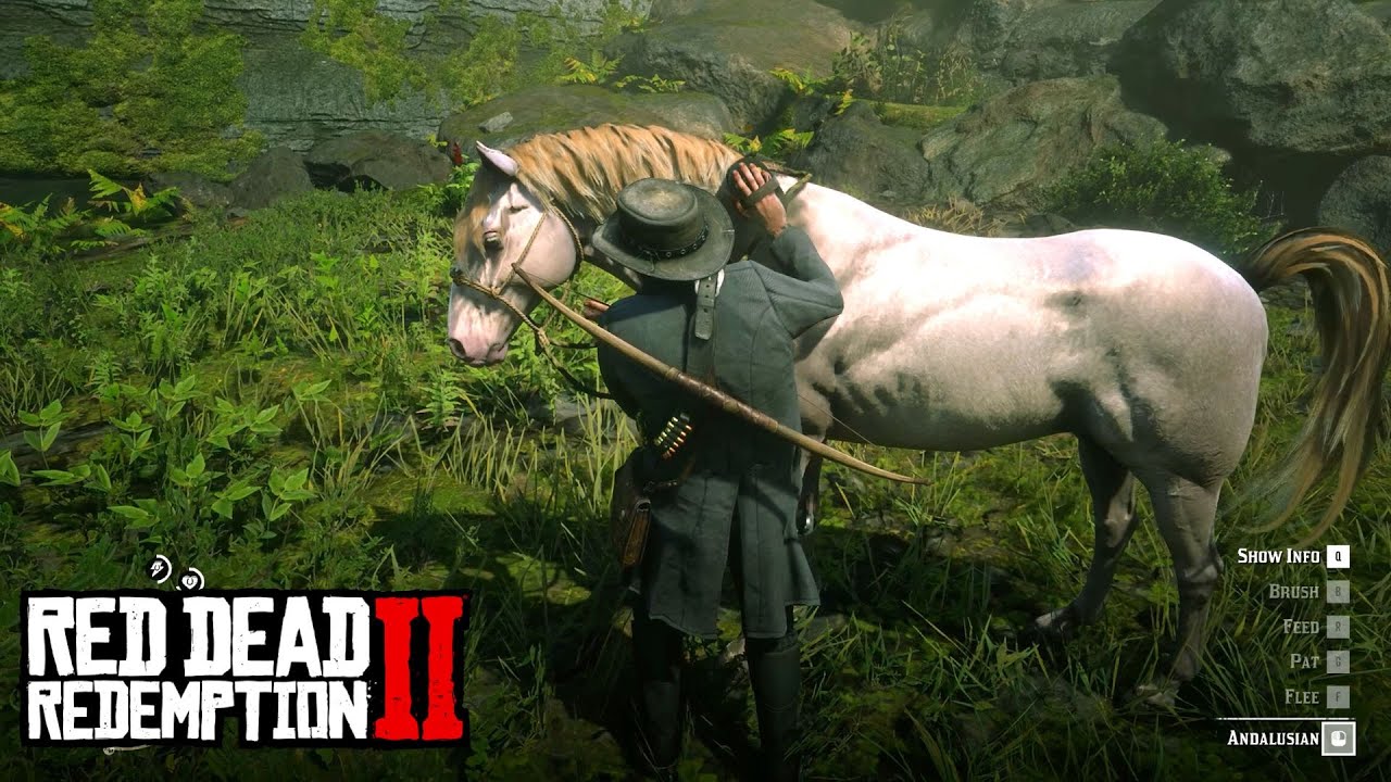 Taming the rare Perlino Andalusian - Red Dead Redemption 2 - YouTube