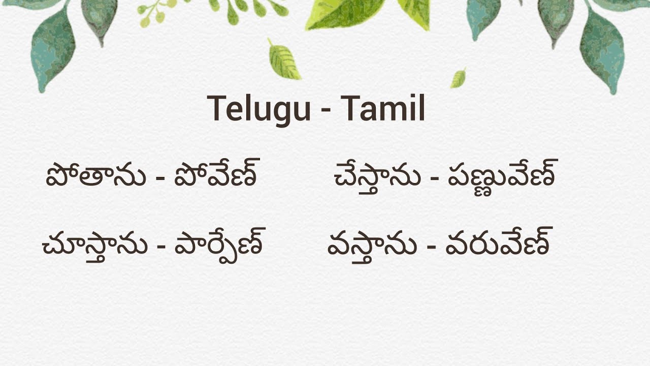 Learn Tamil From Telugu Session 01 YouTube Learn Tamil From Telugu Session 01 YouTube