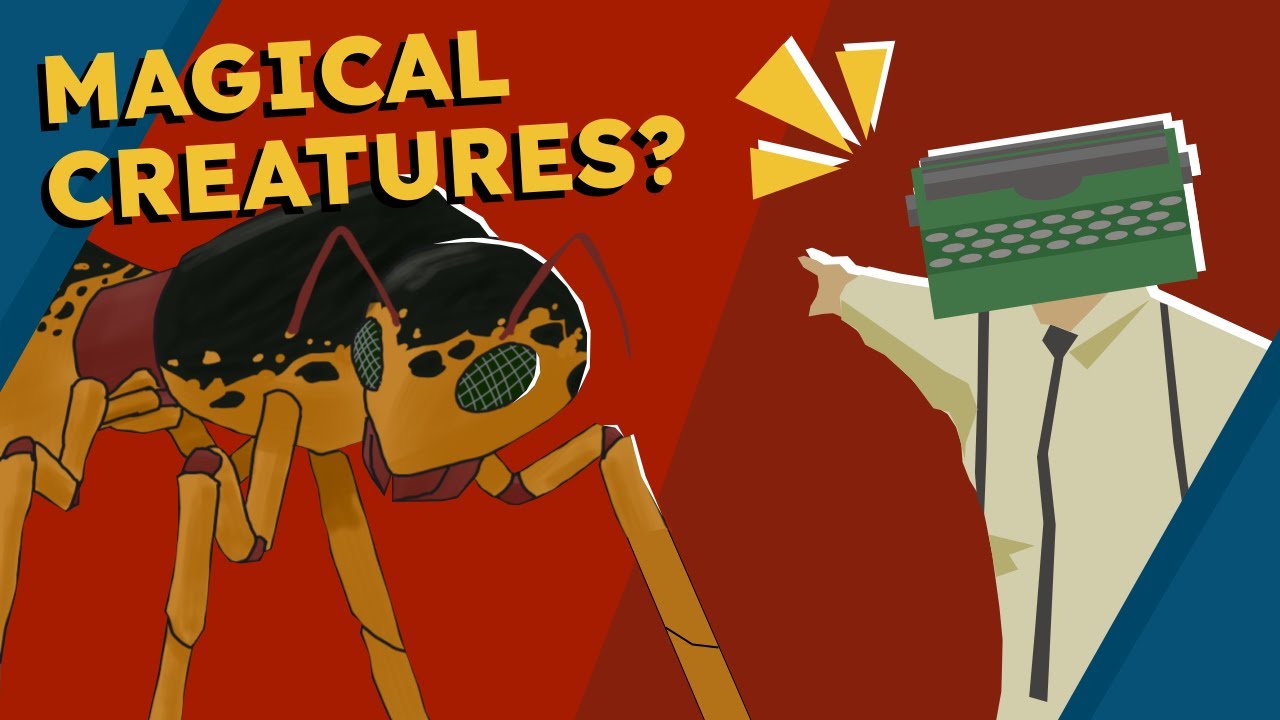 What Does Magical Wildlife Look Like? | Magical Creatures pt1 - YouTube