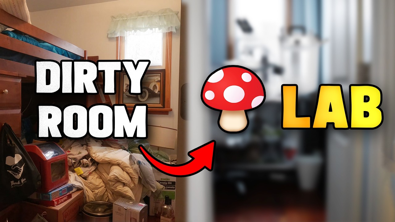 I Built a Home Mushroom Lab | DIY Mycology Lab - YouTube