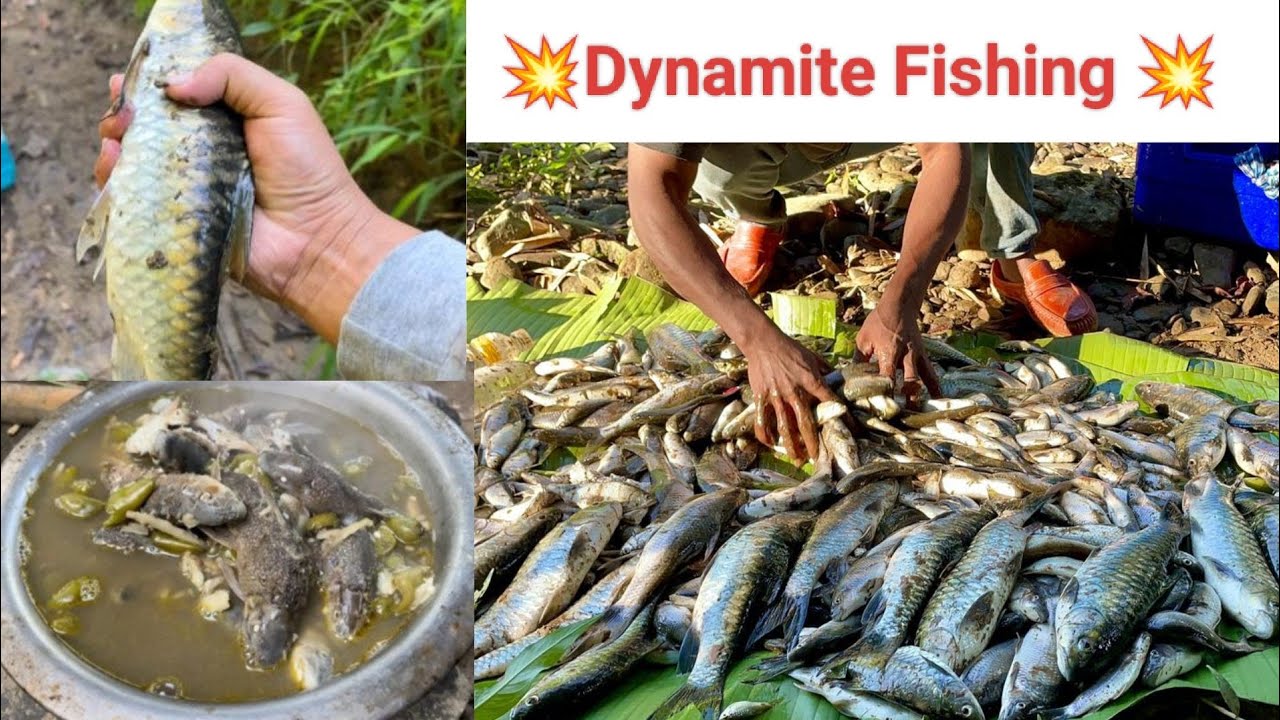 Dynamite Fishing - YouTube