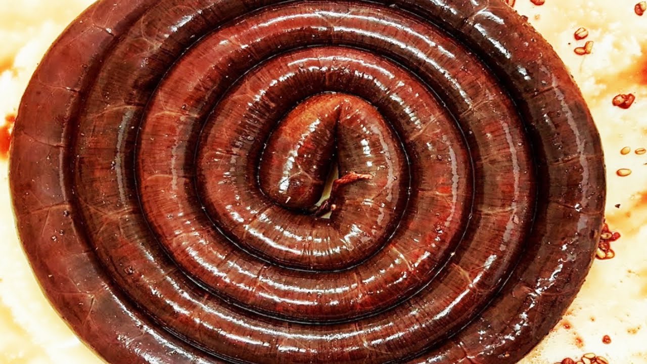 Top 10 Strange Breakfast Items You Need to Try - YouTube