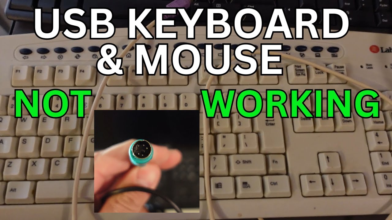 Fix USB Mouse and Keyboard Not Functioning - YouTube