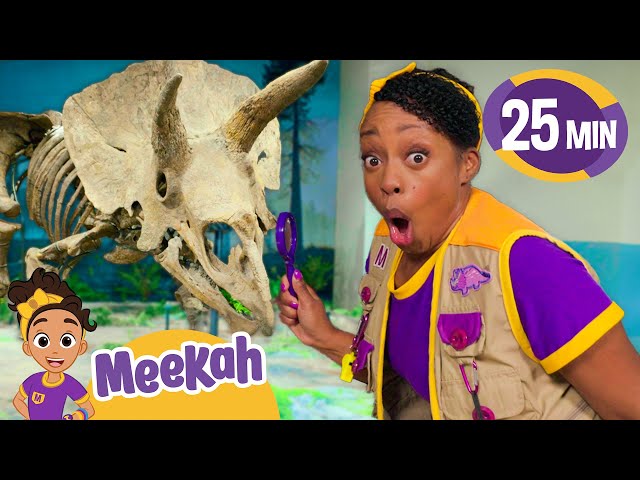 Meekah's Dino Detective Adventure! | BEST OF MEEKAH! | Learn Colors and ...