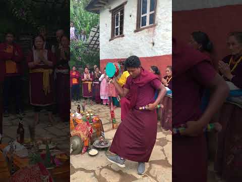 lama dance #lama