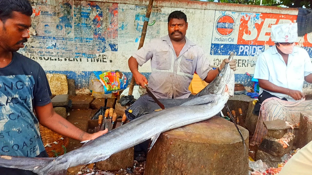 30 KG Massive KOLA Fish Cutting & Chopping Kasimedu Fish Market | ₹3500 ...