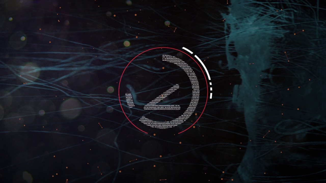 intro loop - YouTube