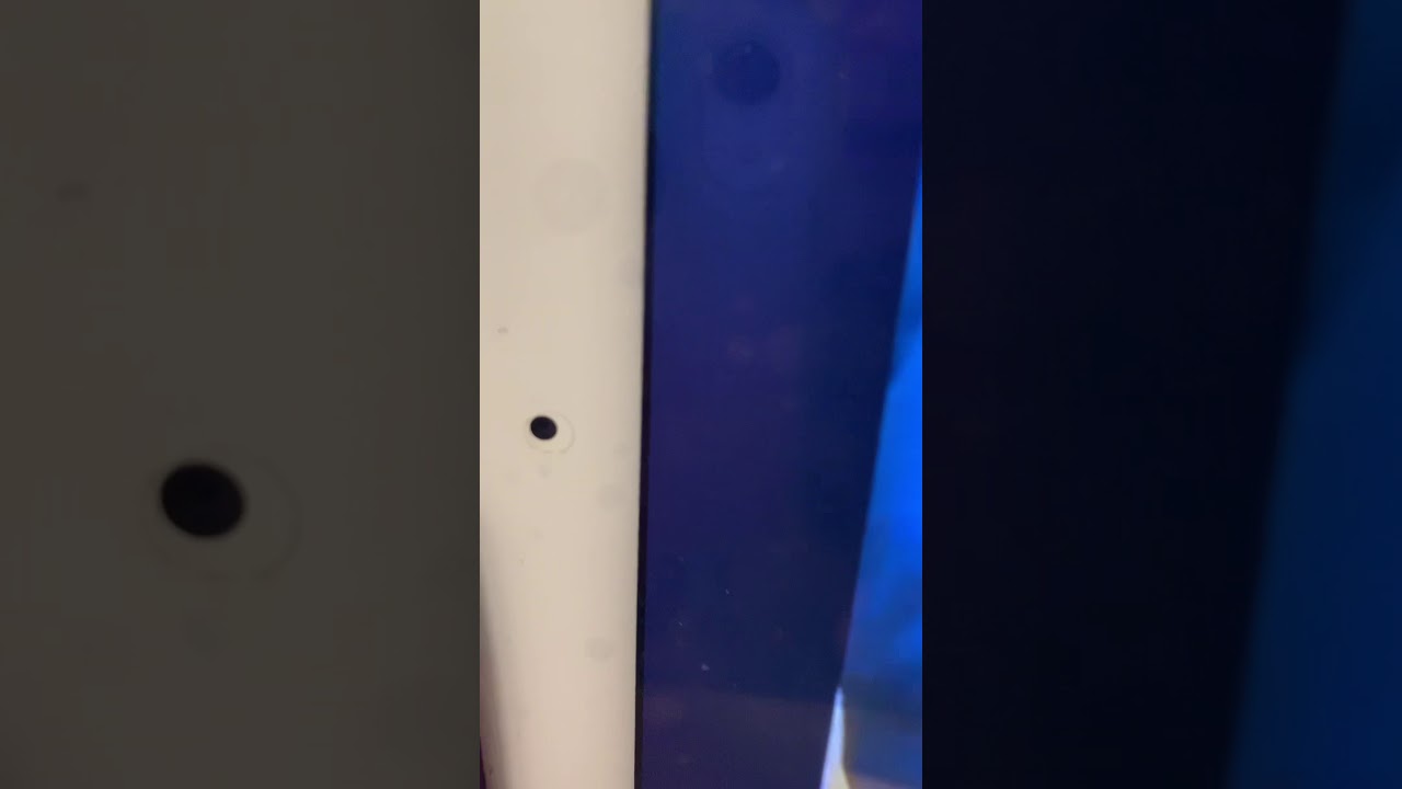 Blues Clues “MailTime” song reversed - YouTube