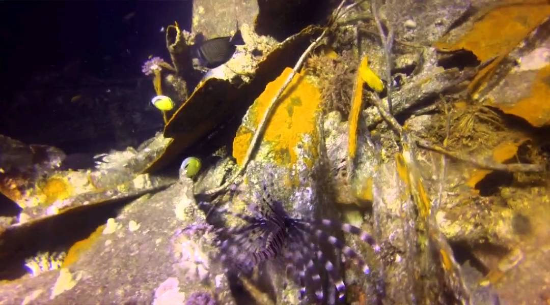Million Hope wreck. Part I. December 2015 - YouTube