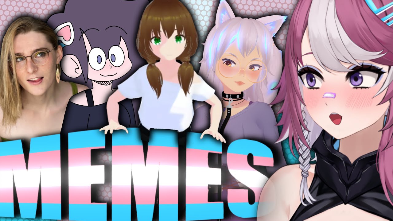 🏳️‍⚧️ Hilarious TRANSGENDER MEMES SPECIAL! #pridemonth - YouTube