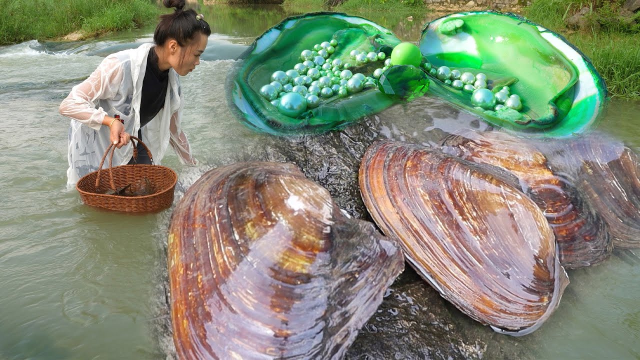 🔥💎 Jewelry Hunt: Lucky Girl Discovers Mutated Giant River Clam, Jewelry ...