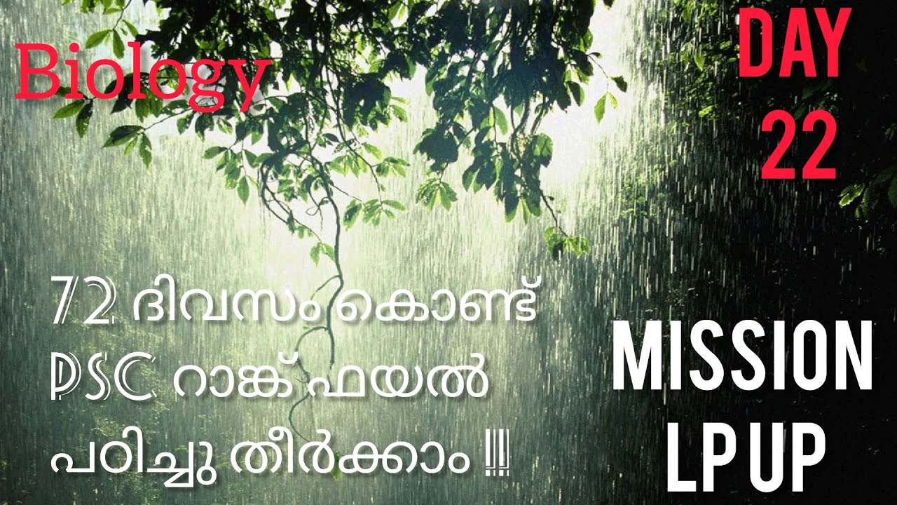 LpUp റാങ്ക്ഫയൽ full വായിച്ച് പഠിക്കാം | 72 ദിവസം complete | psc rank ...