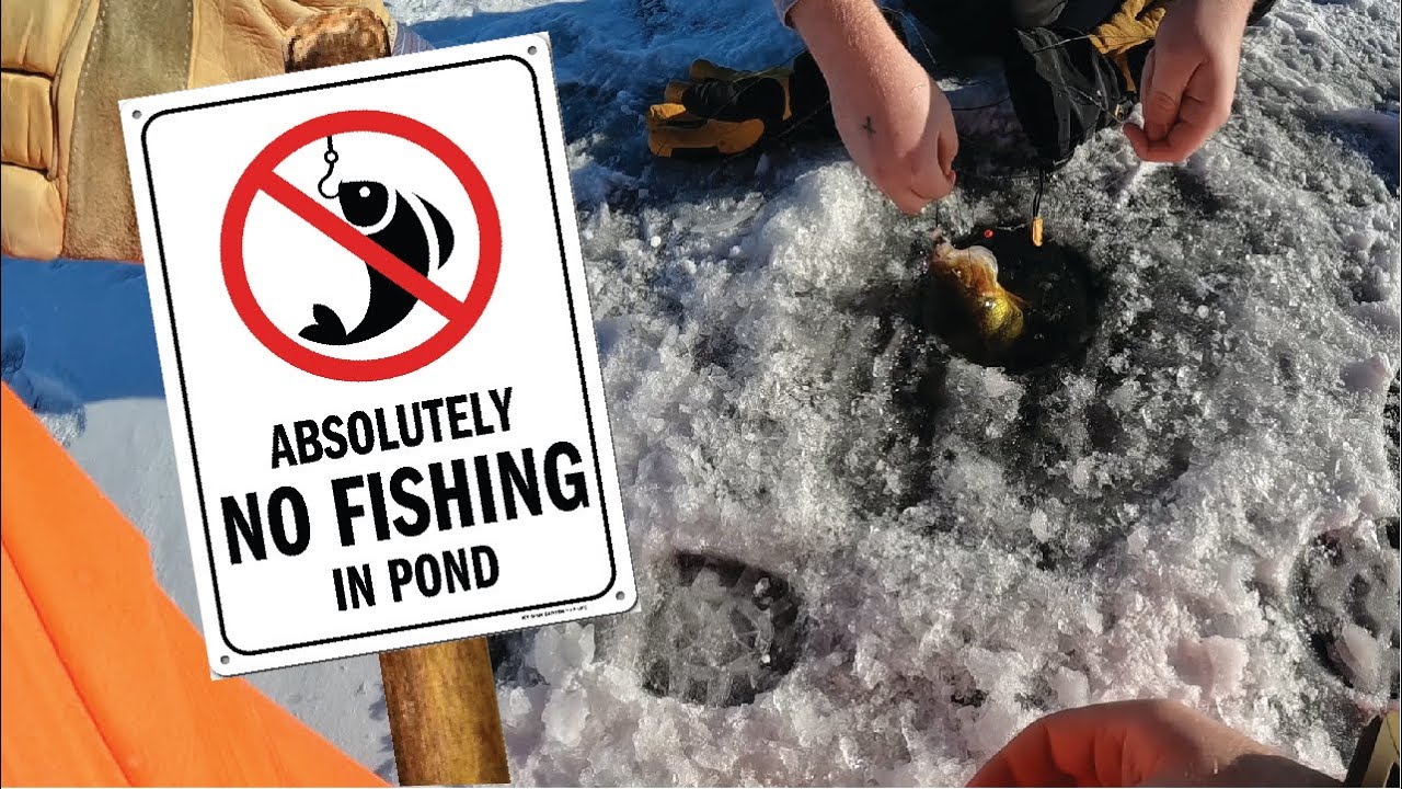Ice Fishing A Private Pond - YouTube