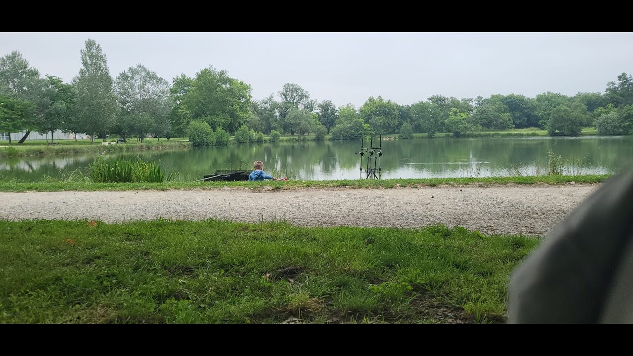 Je pensais que c’était un tronc… mais .... 😱 - YouTube