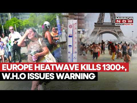 Europe Heatwave: Germany, France Reel Under Extreme Heat, Over 1300 Killed, WHO Issues Warning