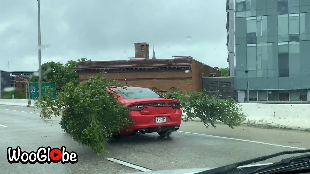 Guy Driving Car With a Tree In It - YouTube