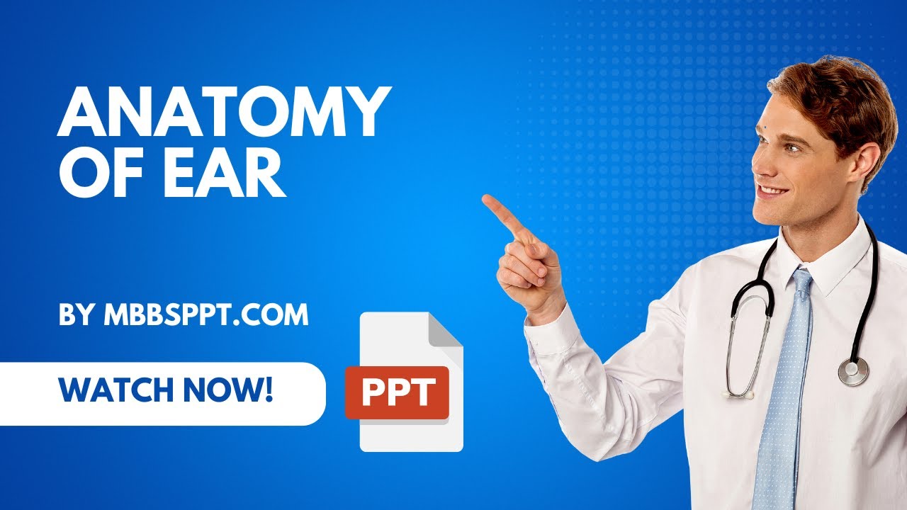 Anatomy of Ear PPT (Slide Presentation) - YouTube