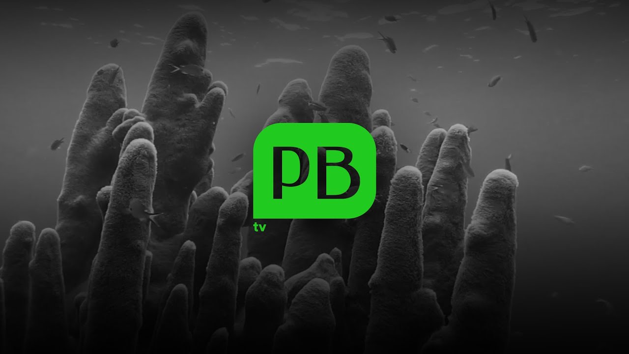 PBtv emisión 3 tráiler - YouTube