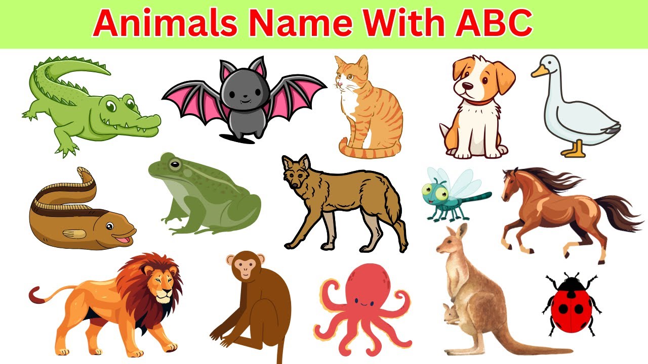 Animal Names matching with ABC | A to Z Animals | Fun Learning for Kids ...