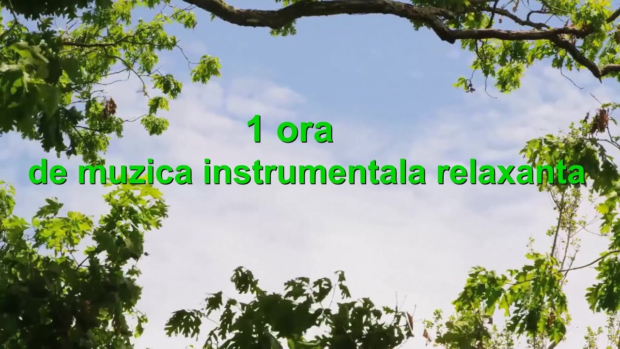 1 ora de muzica instrumentala relaxanta | Muzica pentru relaxare si ...