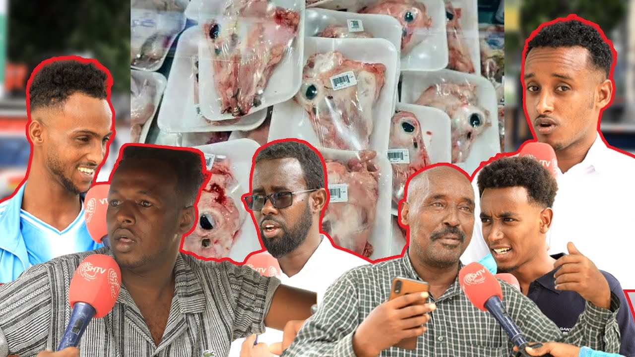 Madax Ari miyaa laga keenay Dalka dibadiisa, maxayse uga caroodeen ...