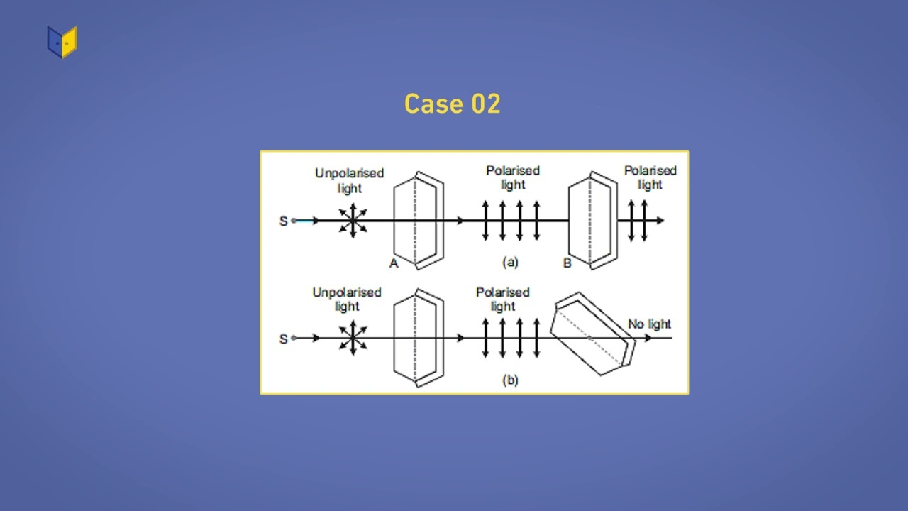 Difference between Polarized & Unpolarized Light | Class 11 | Physics ...