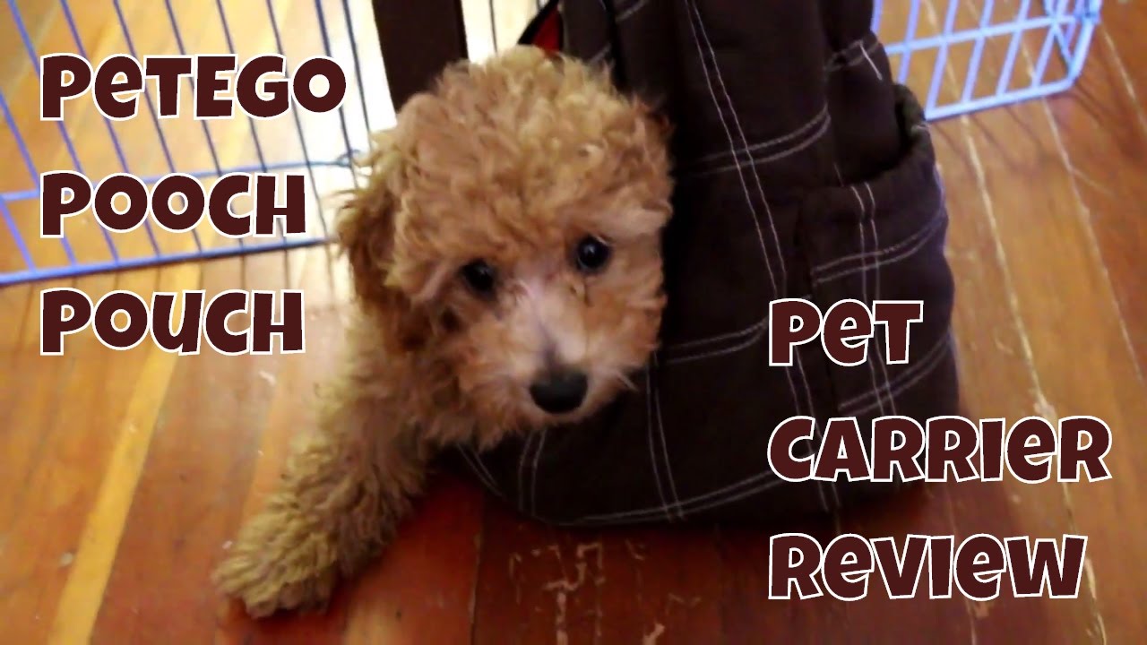 PetEgo Pooch Pouch Pet Carrier Review - Pet Product Reviews VOL. 3 ...