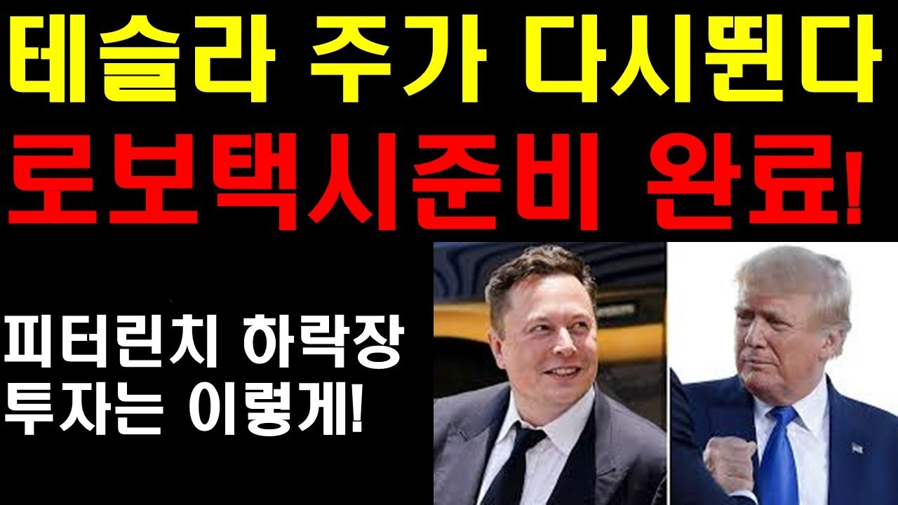 테슬라 주가 다시 뛴다 로보택시 준비 완료 플래폼도 이미 정리 지금의 주가 하락은 인생기회 하락장에서 피터린치의 투자