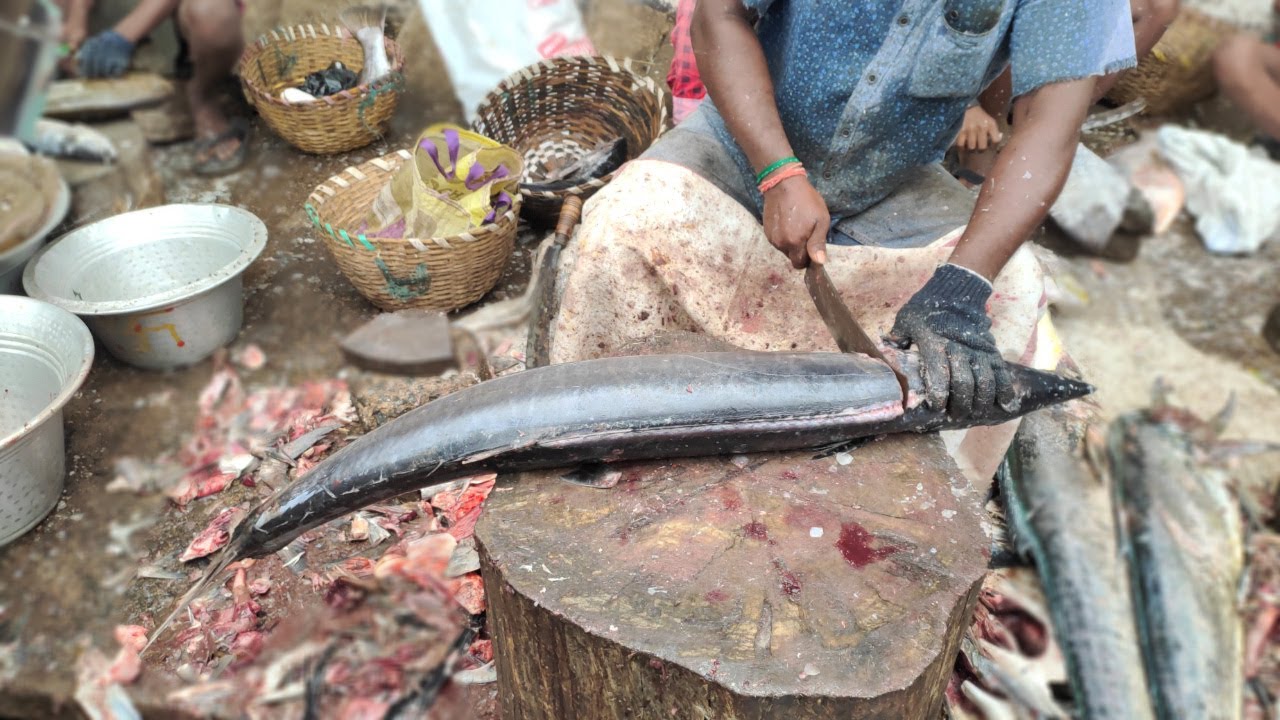 Amazing Big Ara Kola Fish Slices Cutting | Indian Fish Market | RS,3500 ...