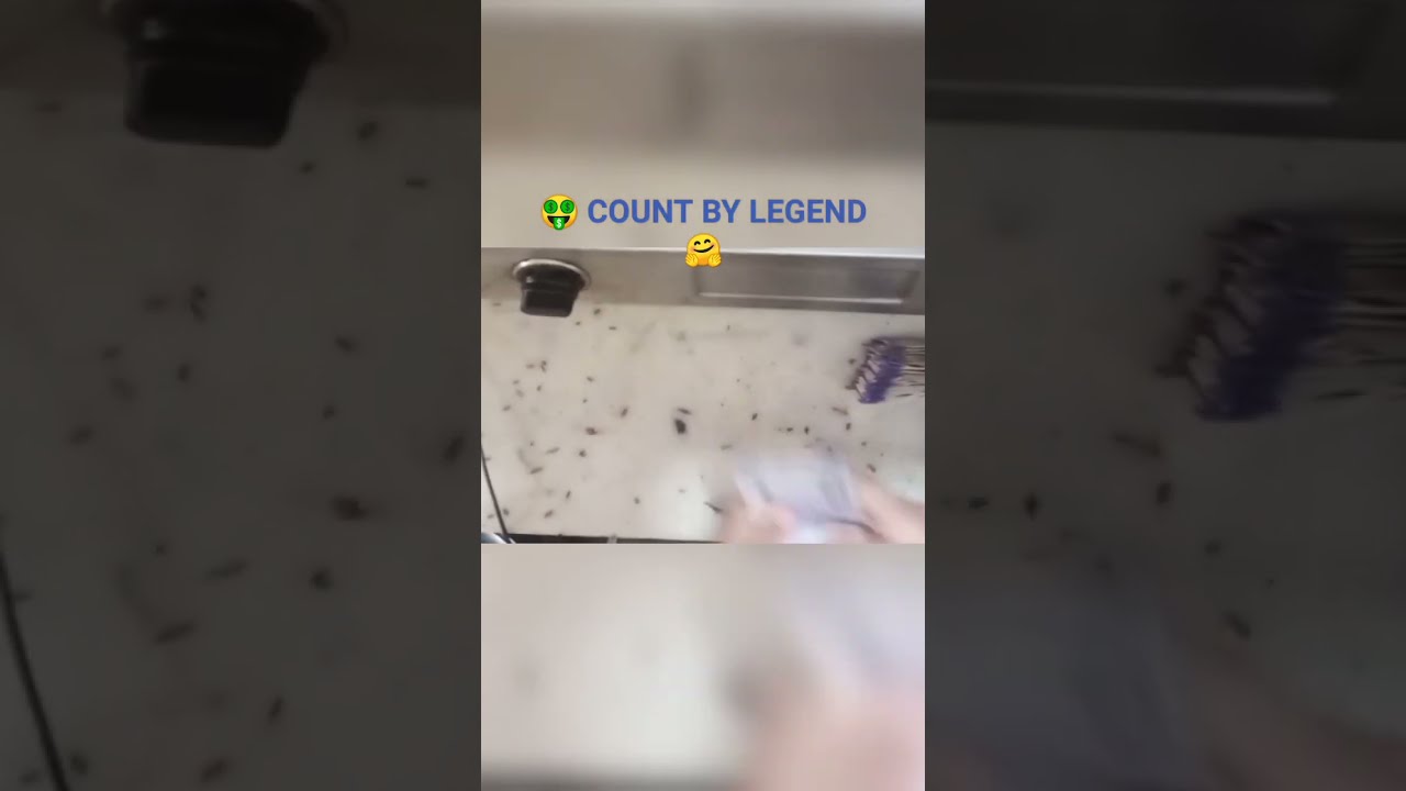 HOW COUNT MONEY FASTER BY LEGEND shorts legend viral tranding HOW COUNT MONEY FASTER BY LEGEND shorts legend viral tranding