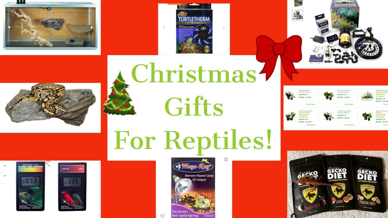 Christmas Gifts for Reptiles!!! - YouTube