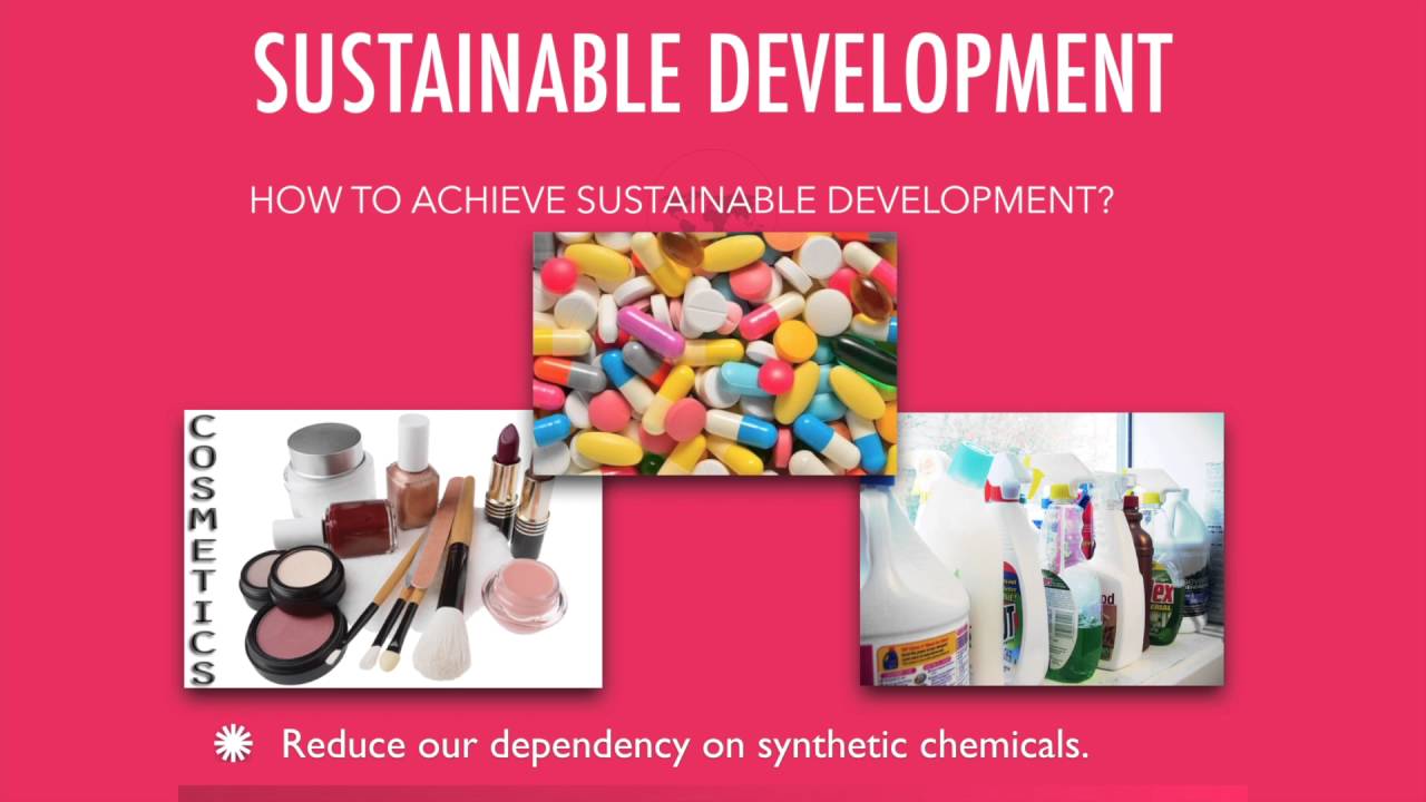 Sustainable Development - Environmental Studies - YouTube