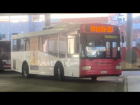 Bus Queensland Toowoomba - 394 LCI: Toowoomba bus station to TAFE ...